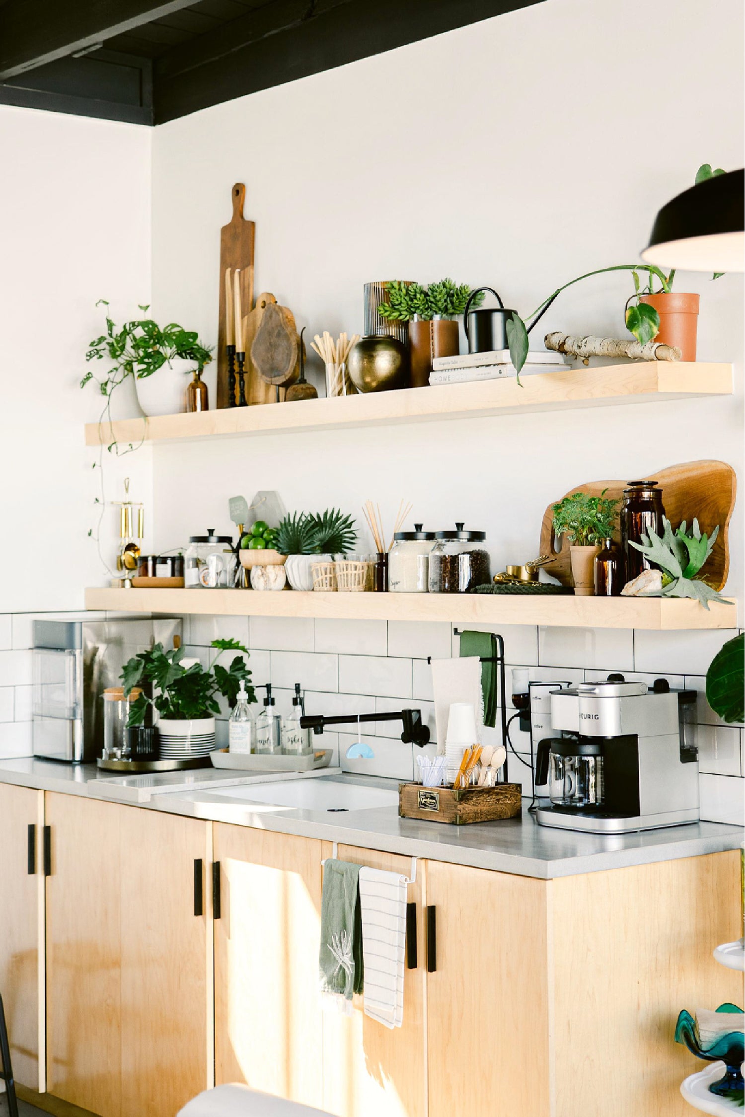 The Fern Event Space